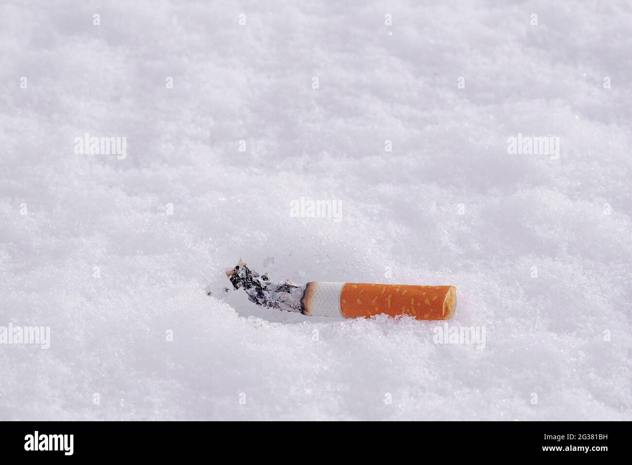 closeup of smoking cigarette butt on a snow with copy space Stock Photo ...