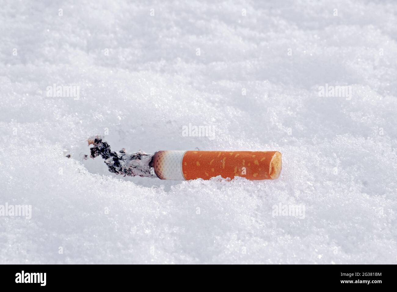 closeup of smoking cigarette butt on a snow with copy space Stock Photo ...
