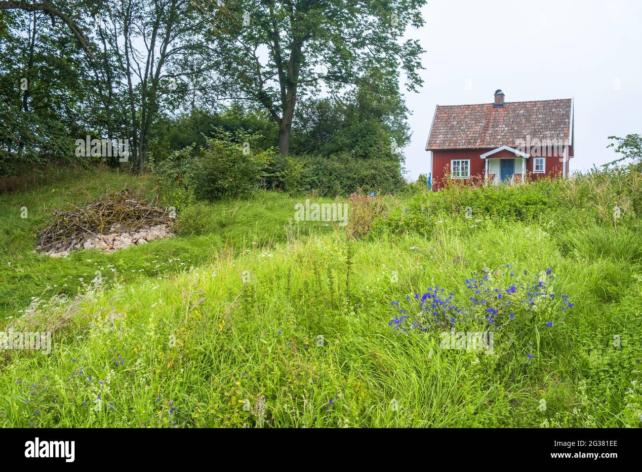 Overgrowth on a building hi-res stock photography and images - Alamy