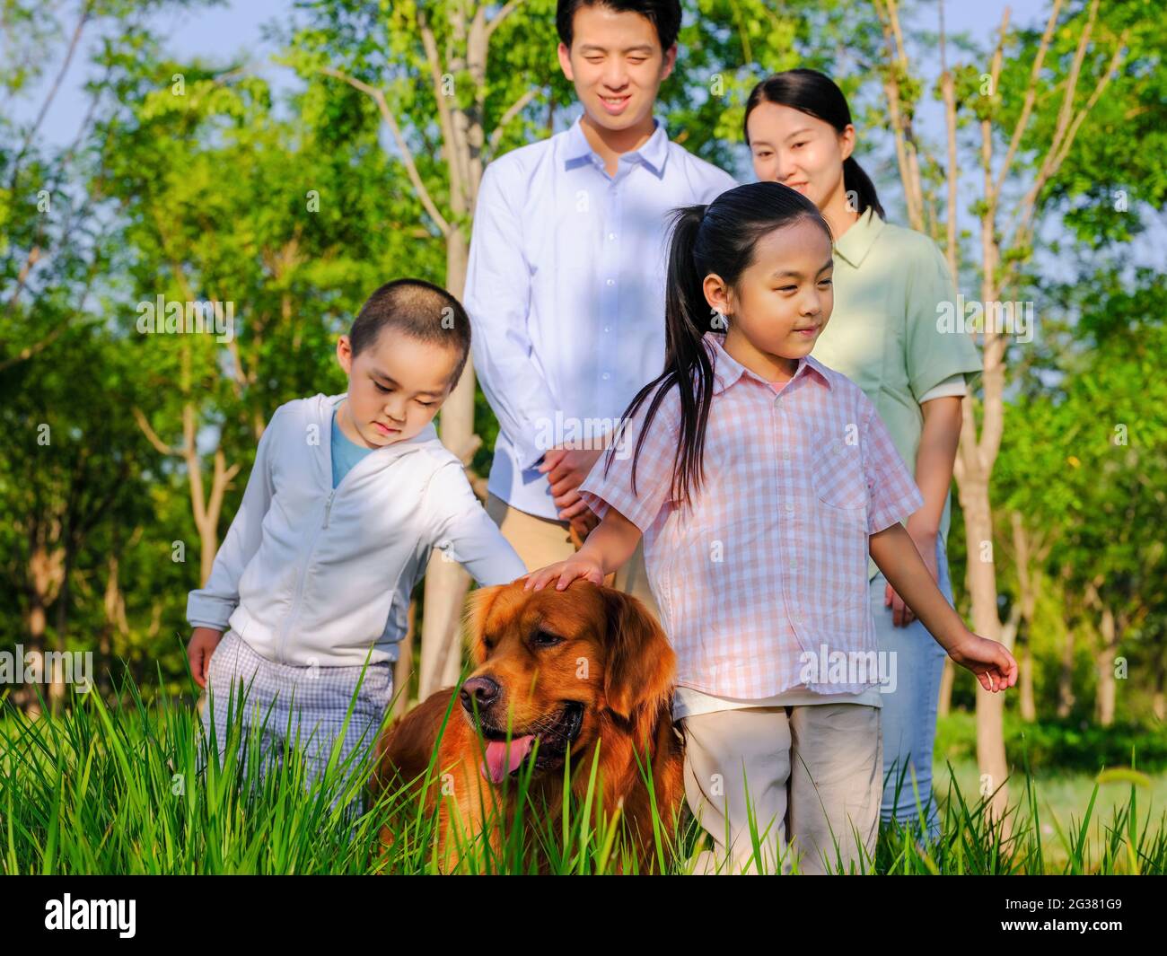 Happy family of four and pet dog playing in the park high quality photo ...
