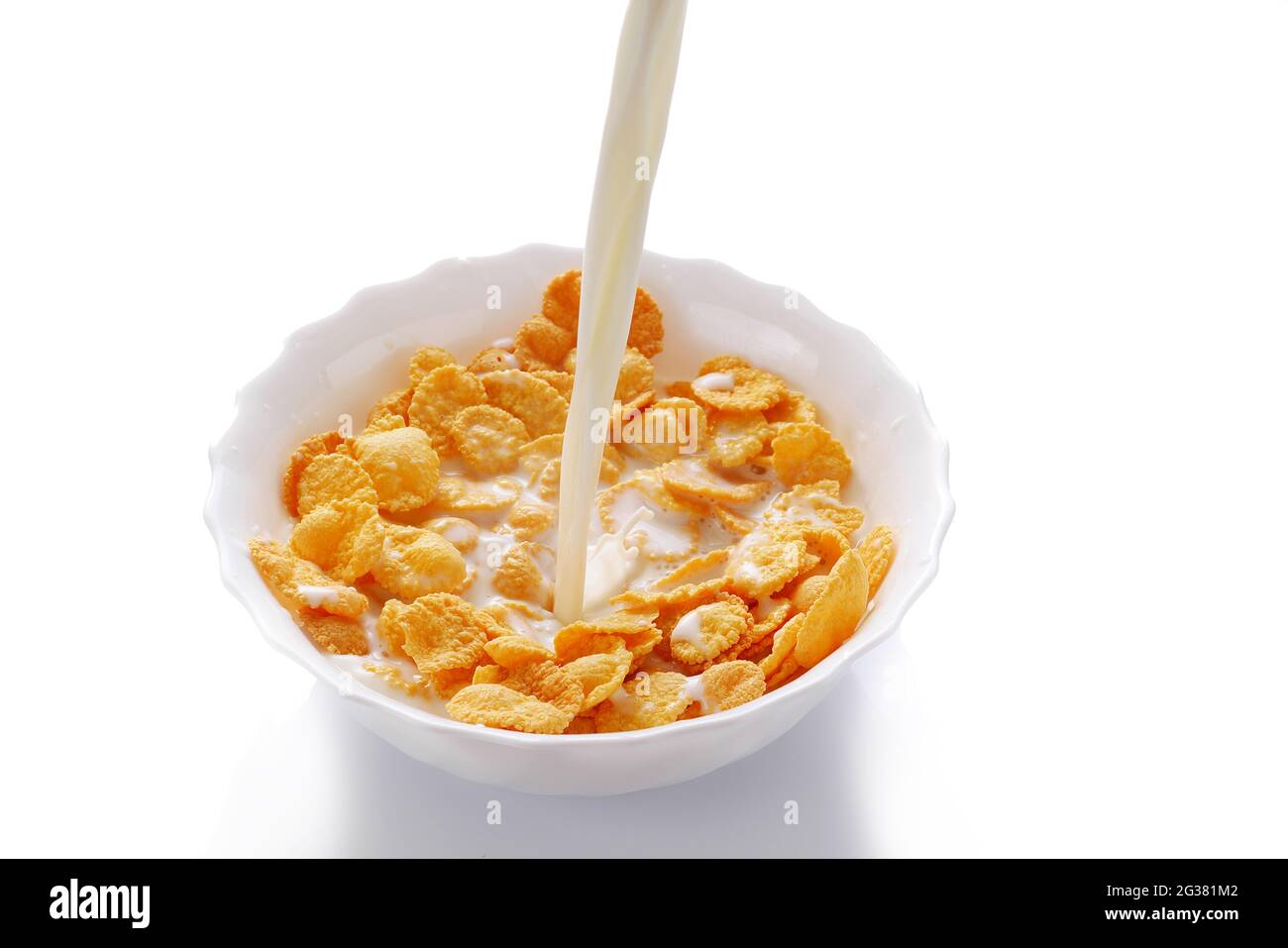 pouring milk in a white bowl with corn flakes isolated on white ...