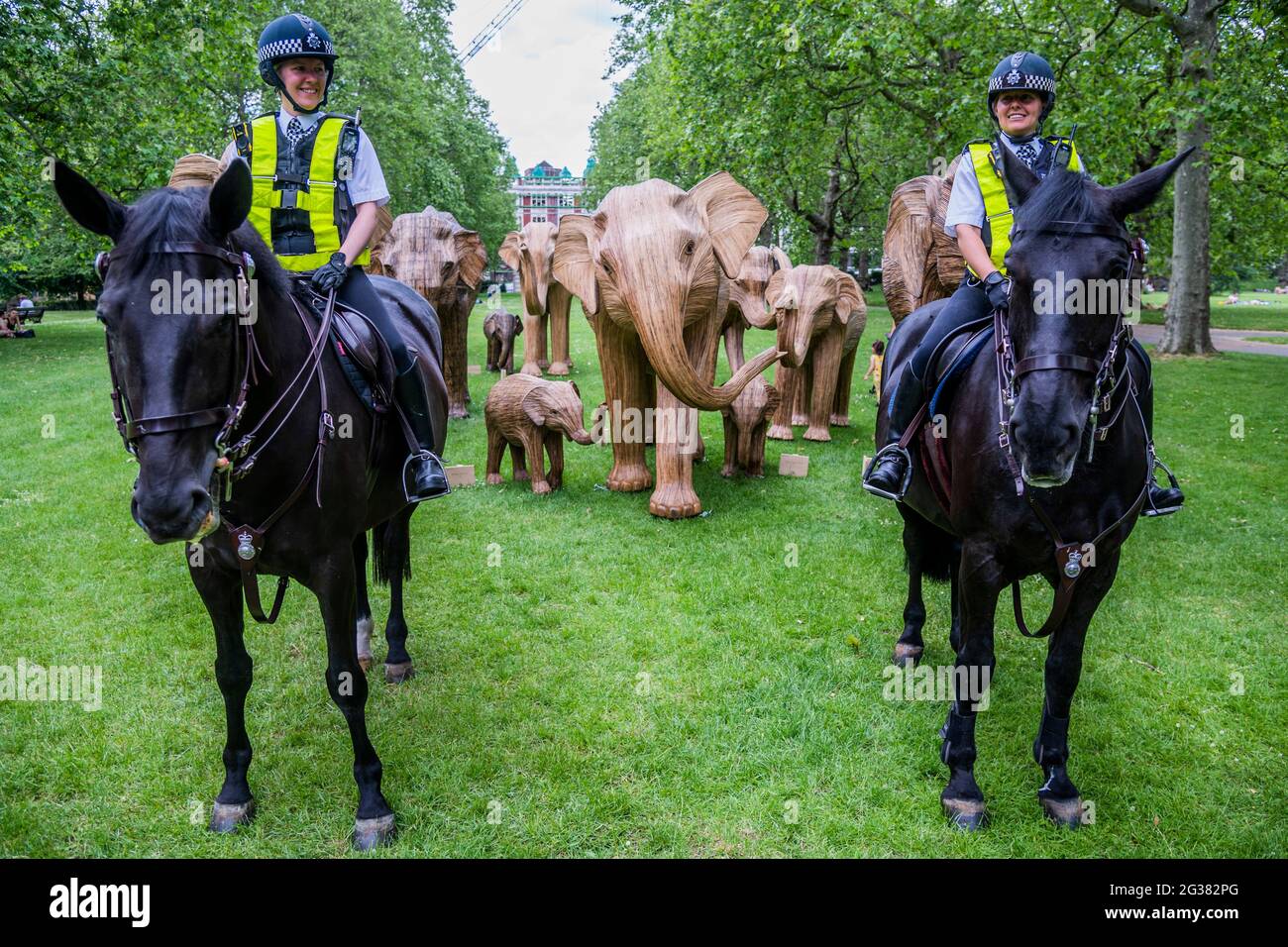 London, UK. 14th June, 2021. Mounted police officers introduce their ...