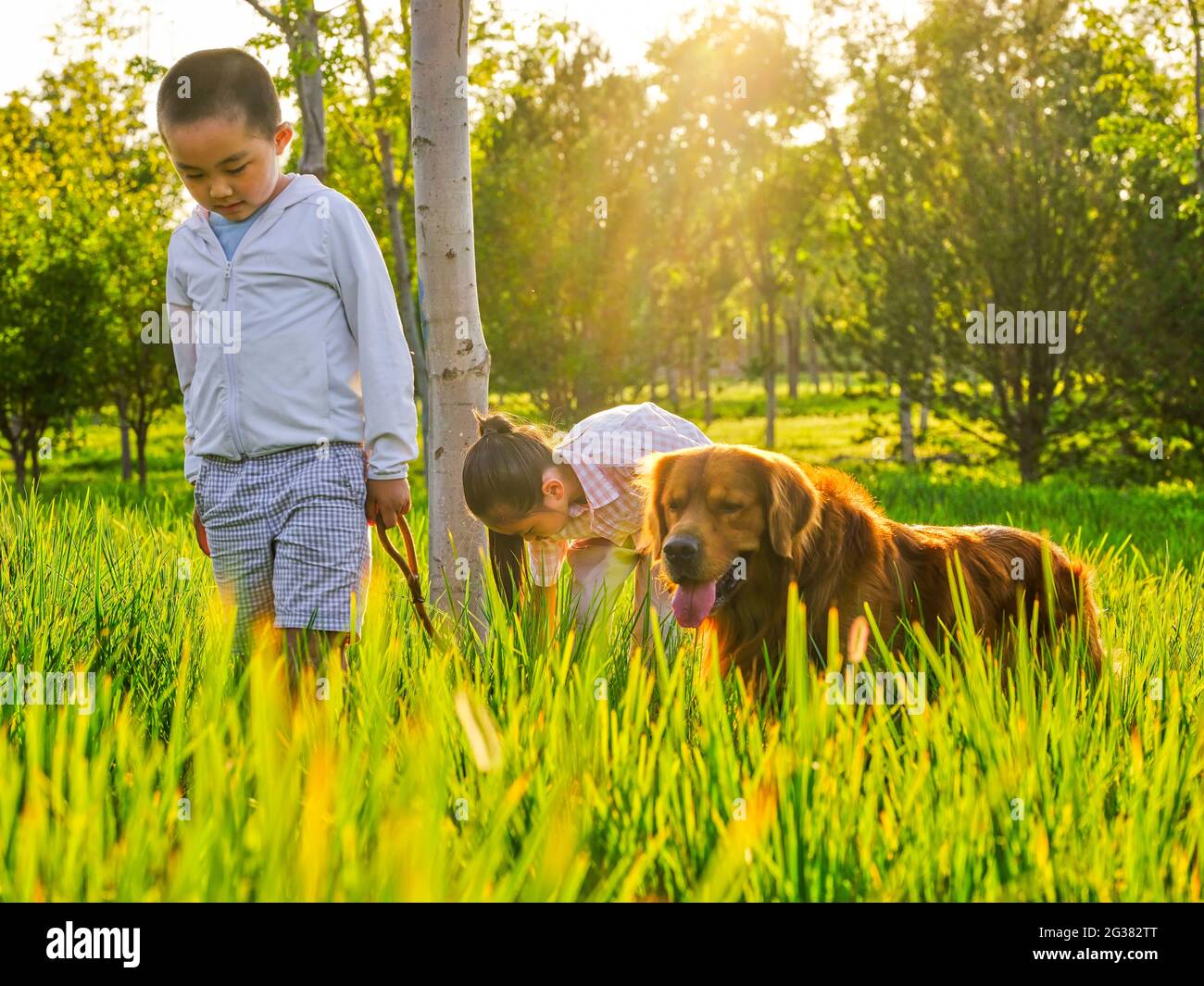 Two happy children walking dogs in the park high quality photo Stock ...