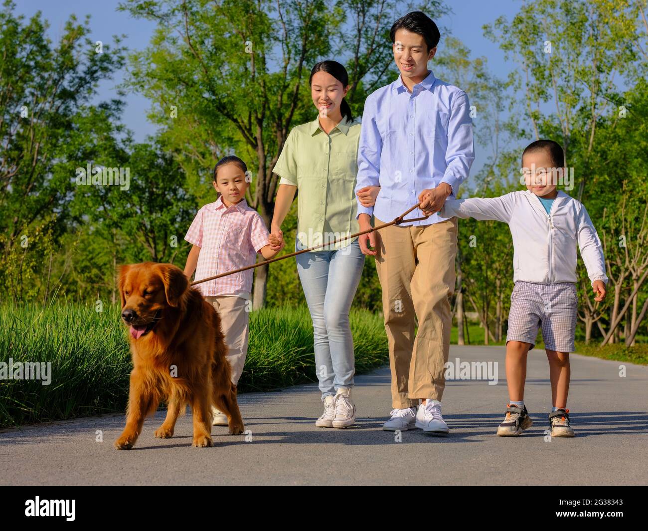 Happy family of four walking dogs in the park high quality photo Stock ...
