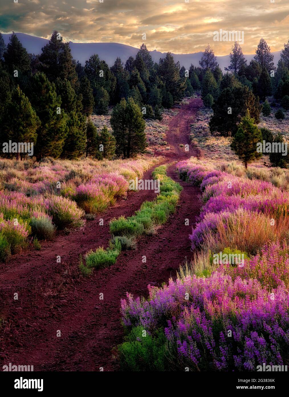 Lakeview oregon hi-res stock photography and images - Alamy