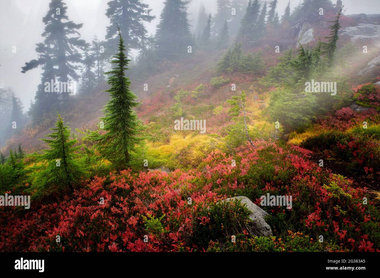 Fog transition hi-res stock photography and images - Alamy