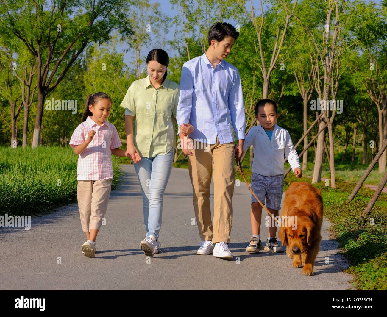 Happy family of four walking dogs in the park high quality photo Stock ...