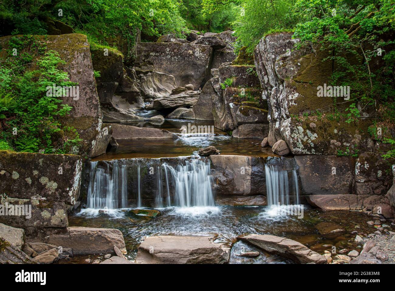 Landscape photography of waterfall in forest Stock Photo - Alamy