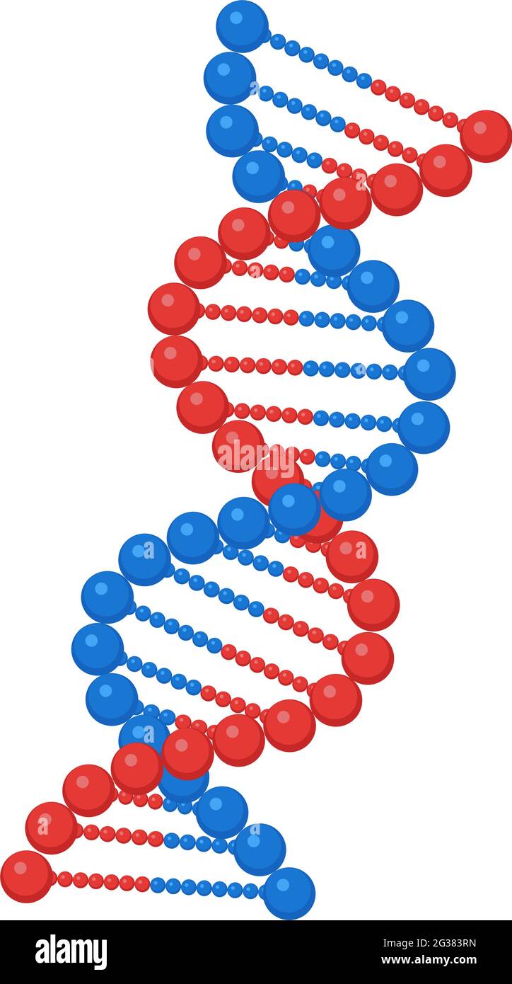 Dna genetic vector, helix gene molecule structure Stock Vector Image & Art - Alamy