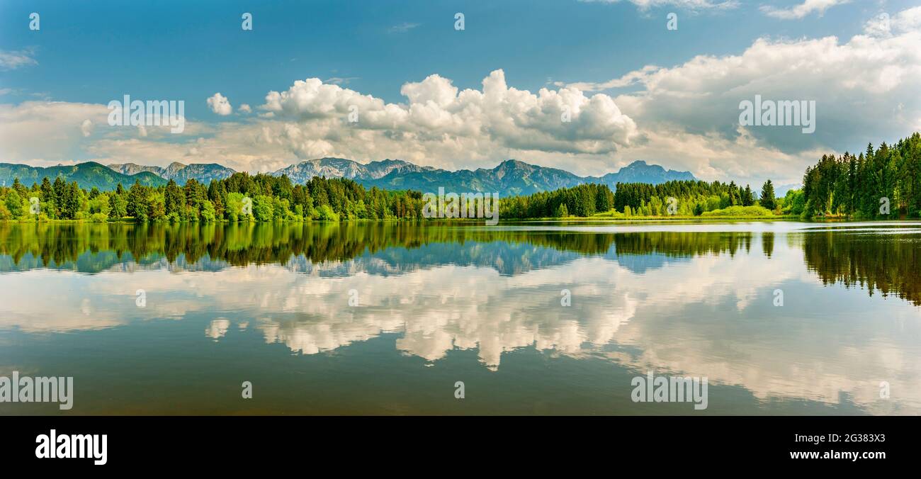 Wiese am forggensee hi-res stock photography and images - Alamy