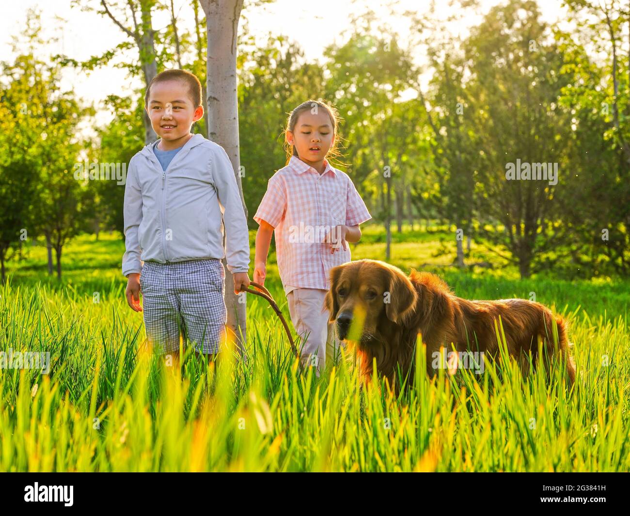 Two happy children walking dogs in the park high quality photo Stock ...