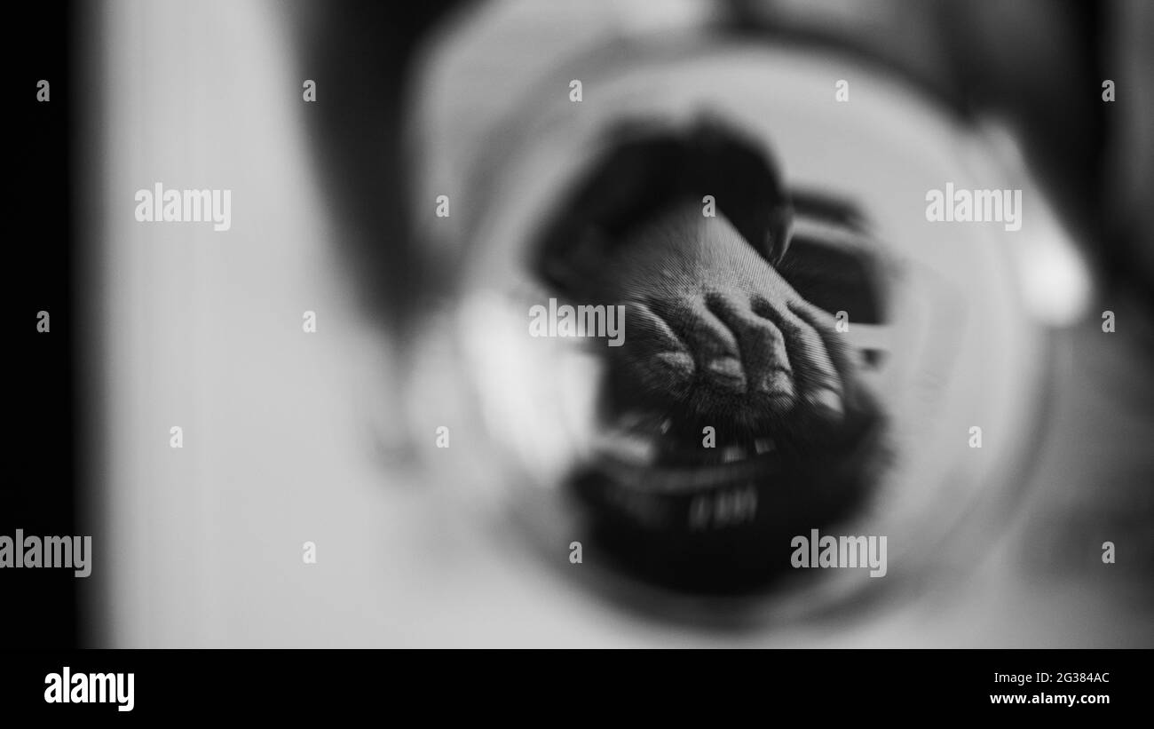 Vintage reading photo Black and White Stock Photos & Images - Alamy