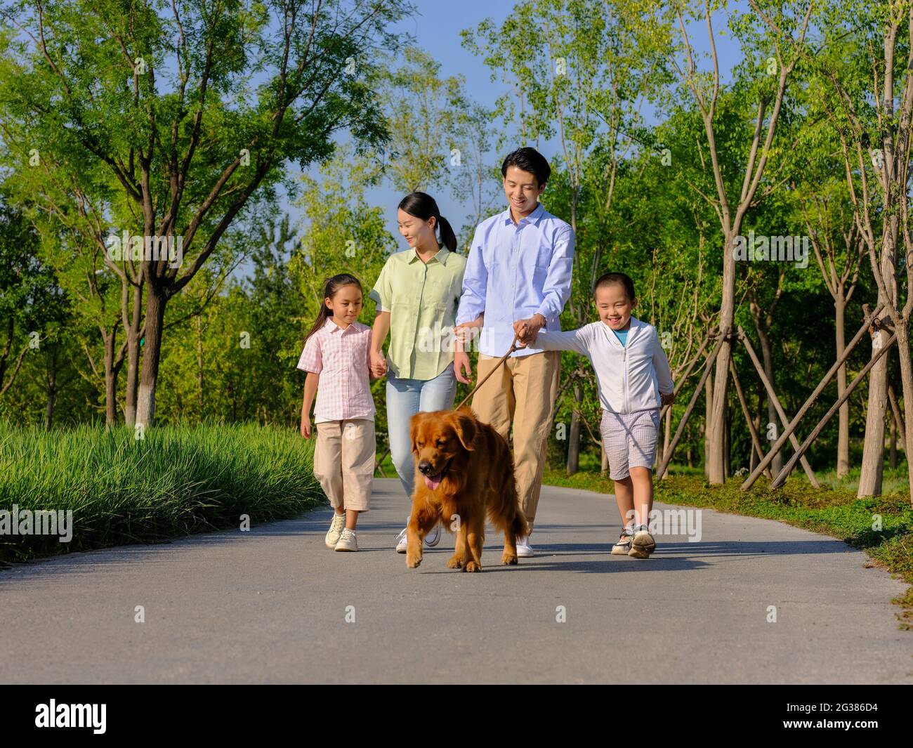 Happy family of four walking dogs in the park high quality photo Stock ...