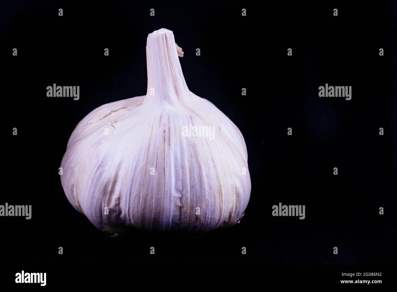 A garlic bulb isolated on black. Garlic, Allium sativum, is a species ...