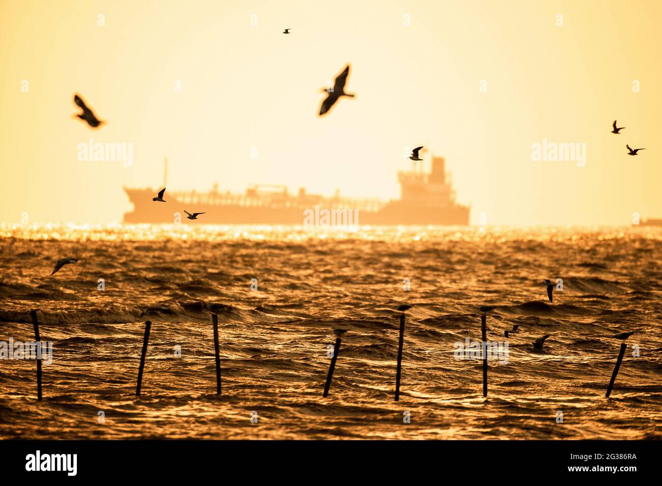 Shipping container sea china hi-res stock photography and images - Alamy