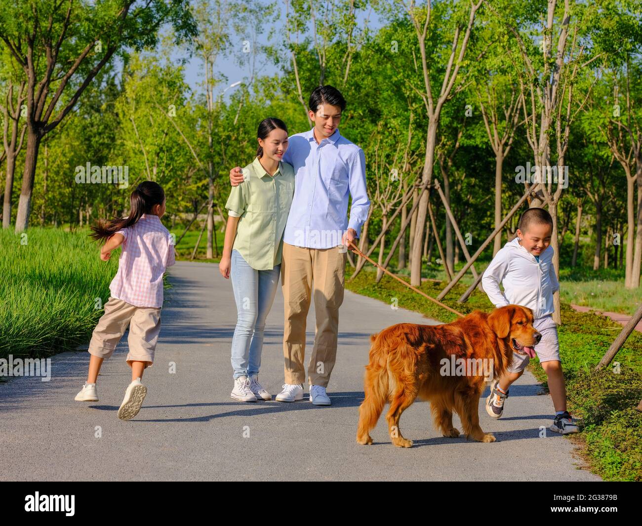 Happy family of four walking dogs in the park high quality photo Stock ...