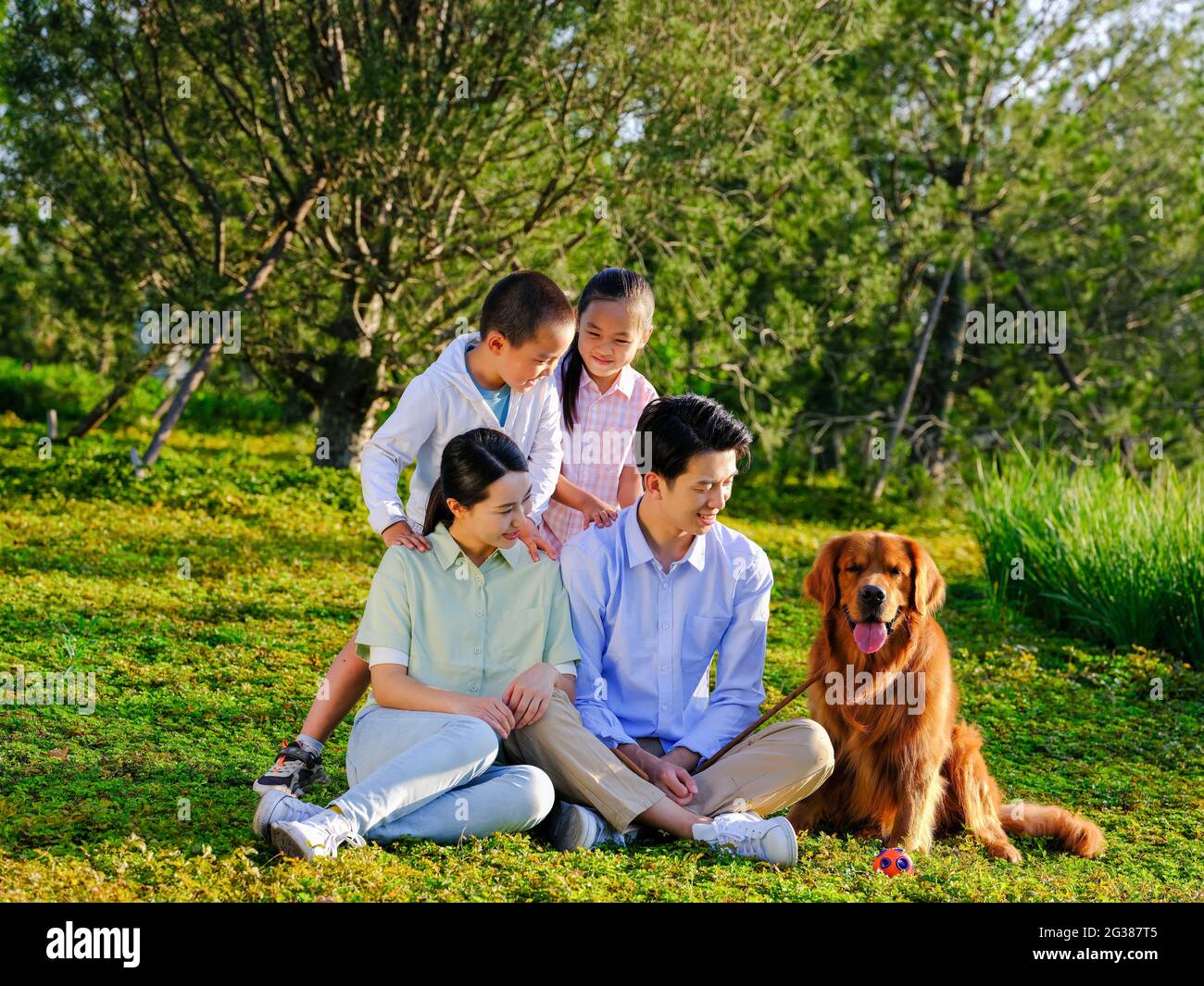 Happy family of four and pet dog in the park high quality photo Stock ...