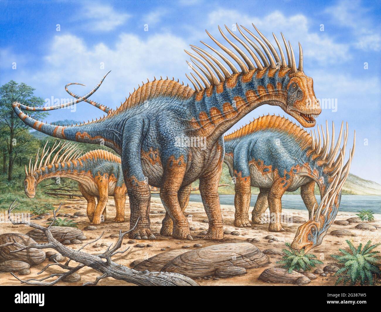 A group of Amargasaurus dinosaurs grazing on the shoreline Stock Photo - Alamy