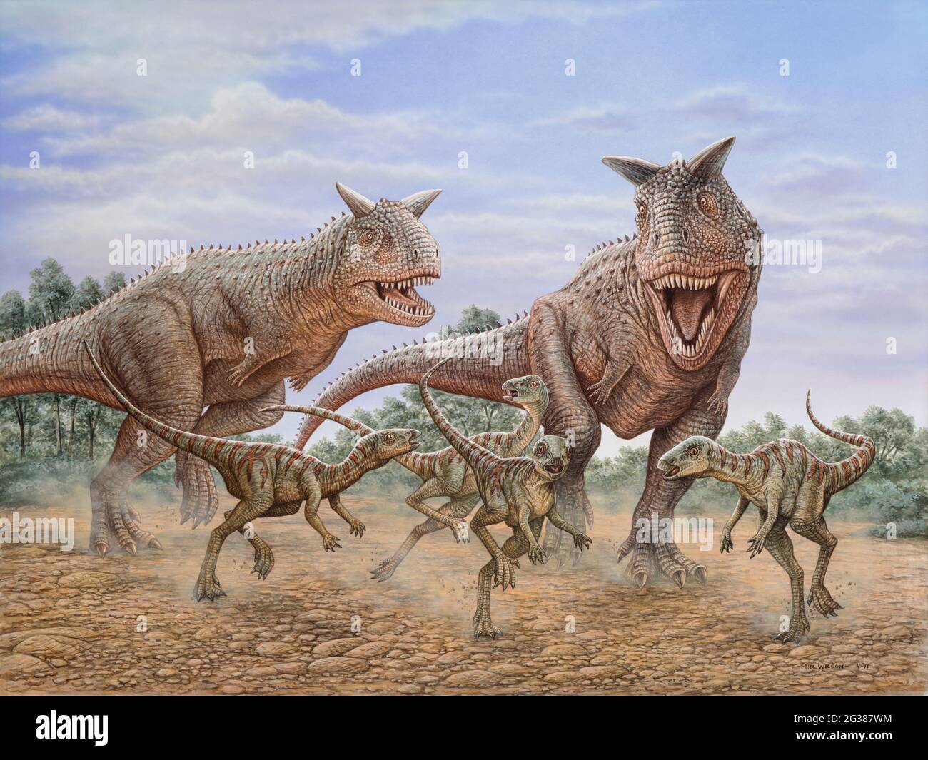 Carnotaurus hi-res stock photography and images - Alamy