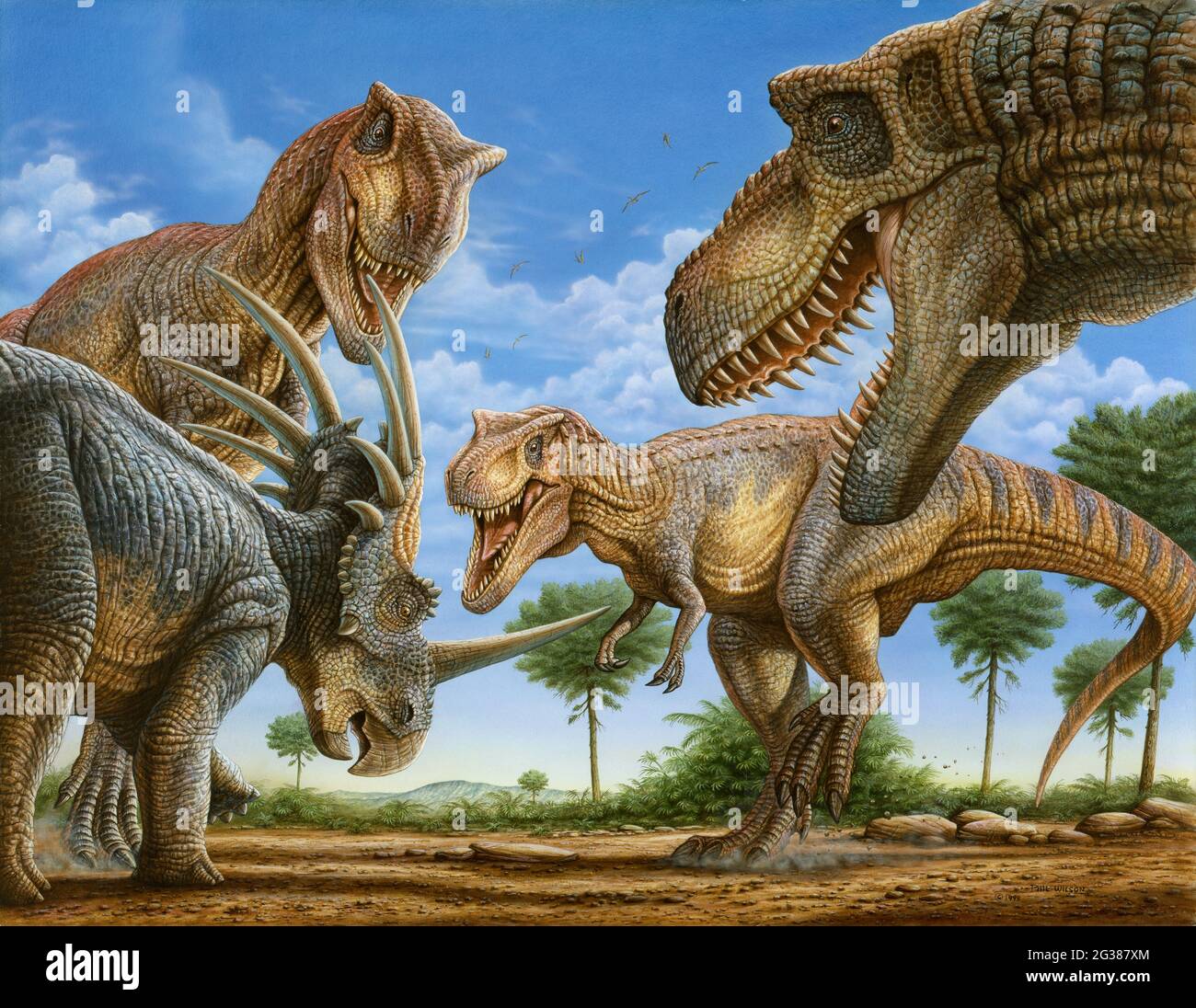 Daspletosaurus hi-res stock photography and images - Alamy
