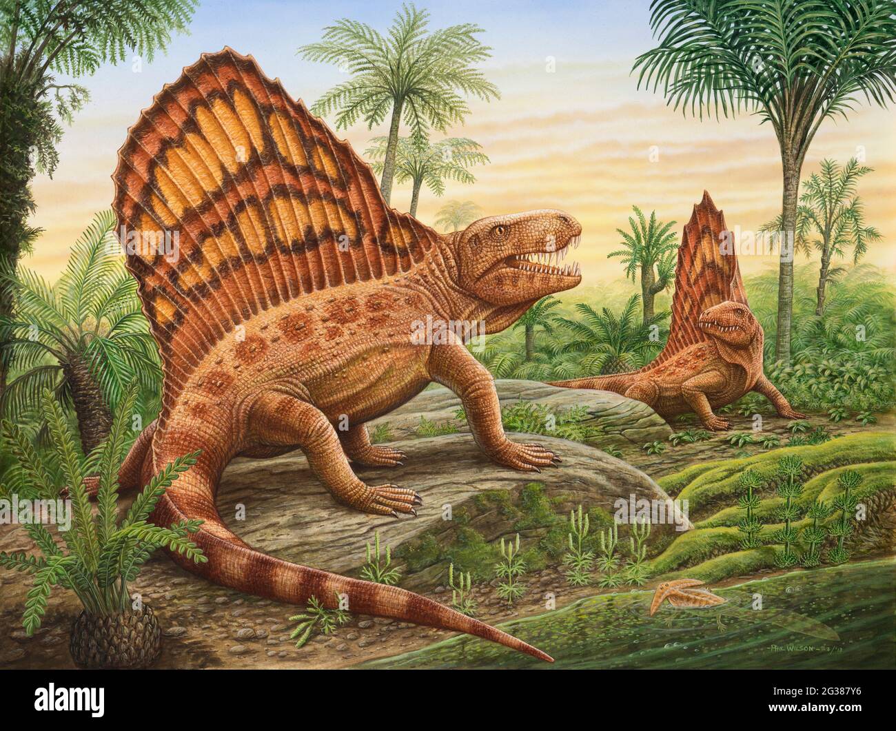 Dimetrodon's roaming a Permian forest Stock Photo - Alamy