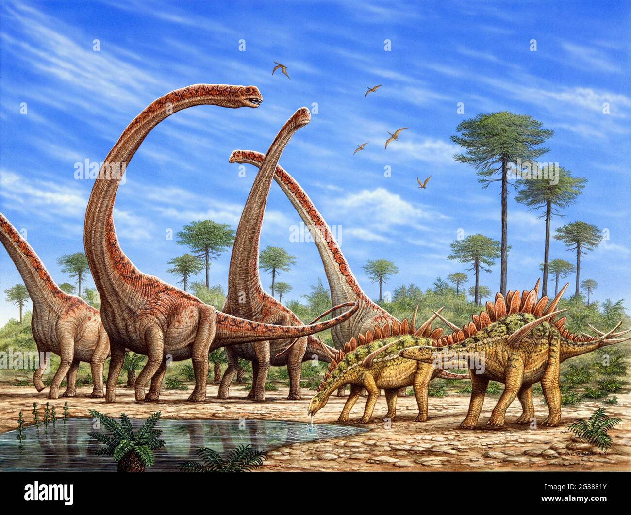 Huayangosaurus hi-res stock photography and images - Alamy