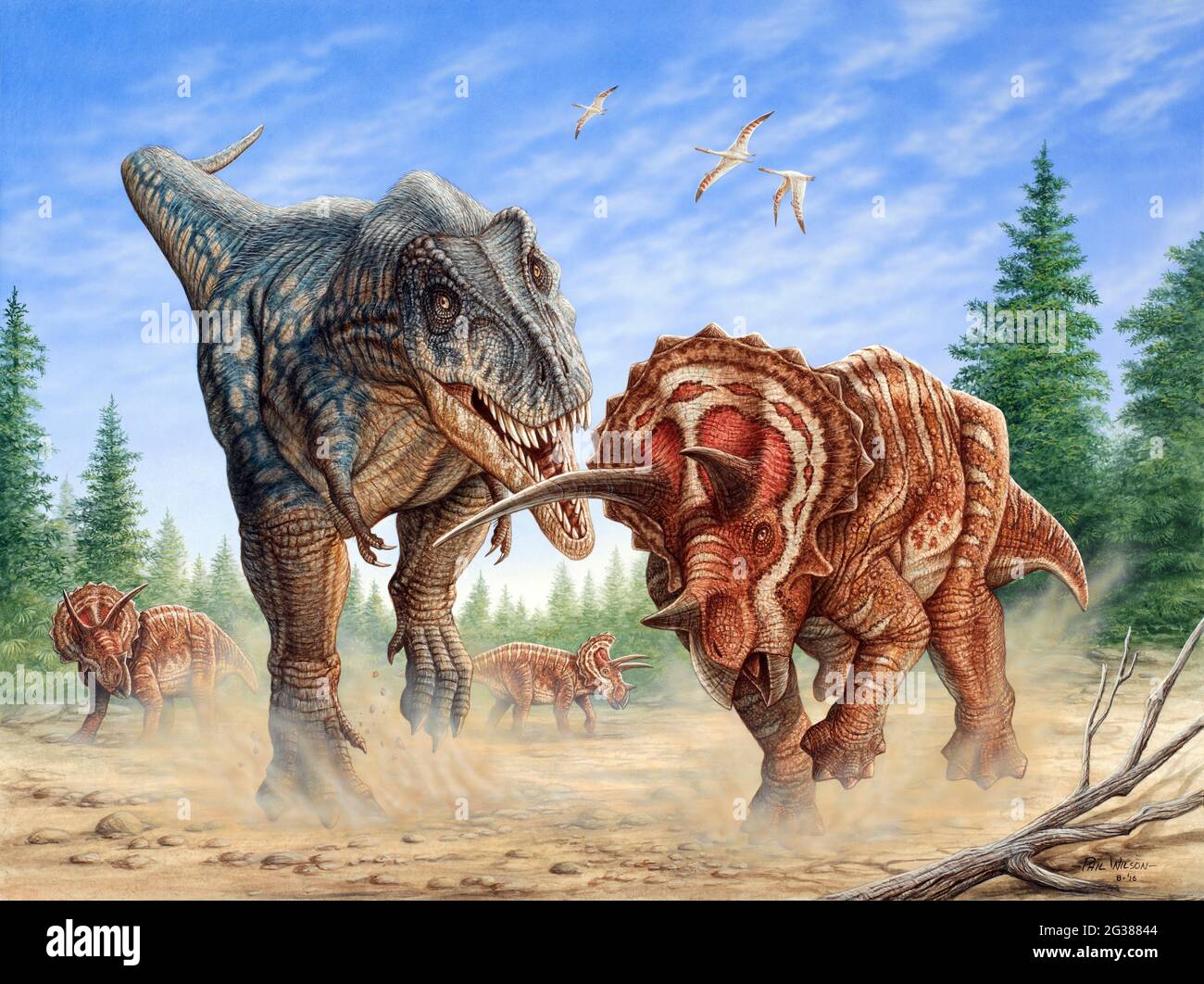 Tyrannosaurus Rex Fighting