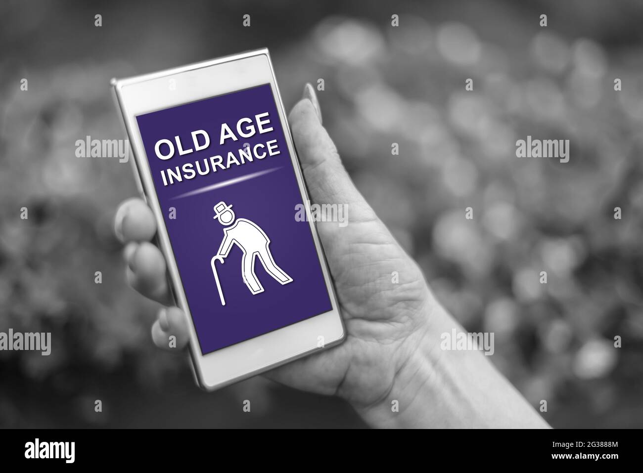 Female hand holding a smartphone with old age insurance concept Stock ...