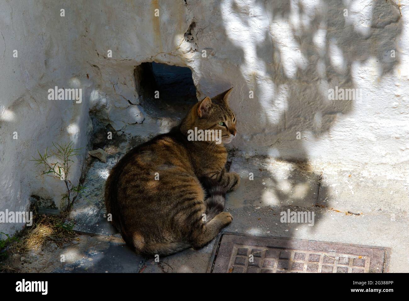 Anafiotika district, below the Acropolis, street photography, Athens ...