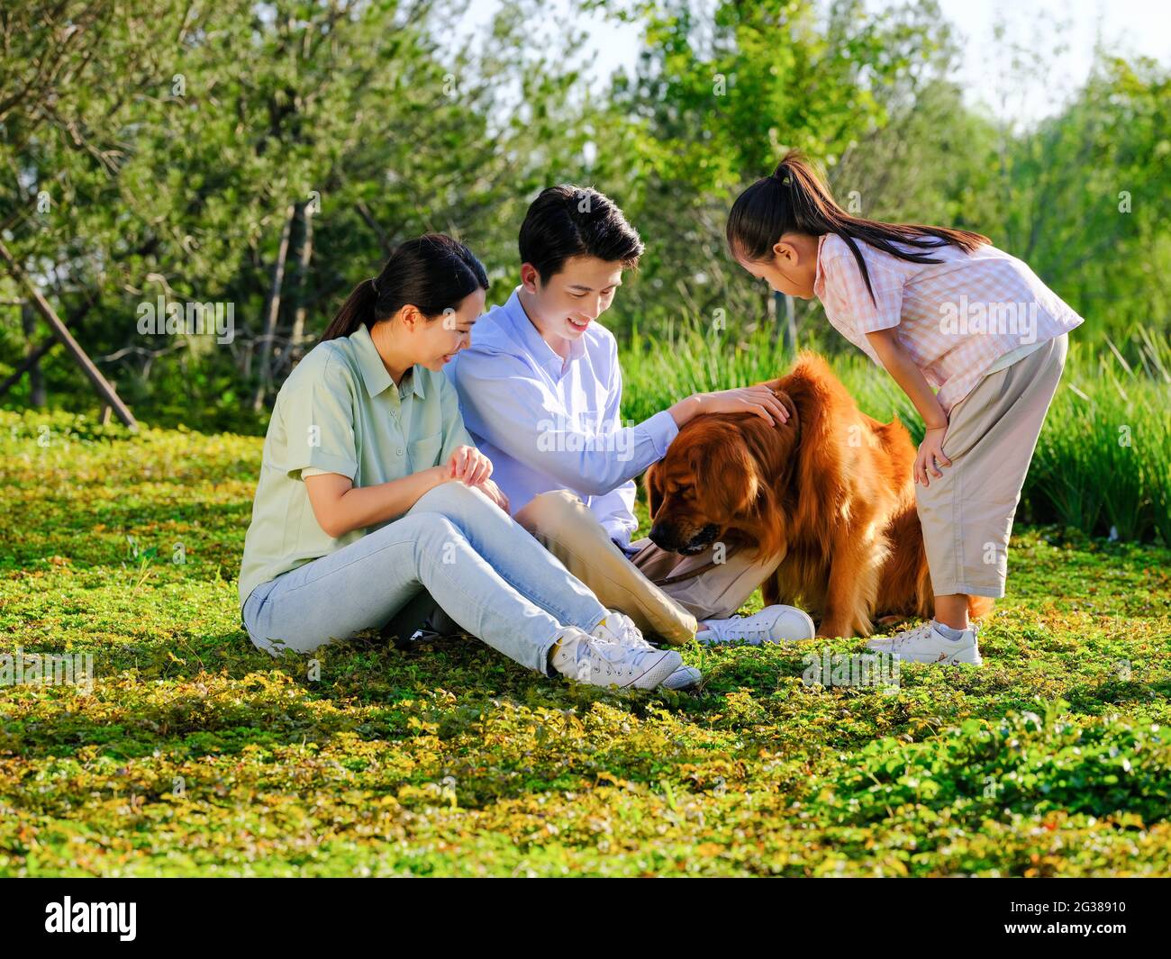 Happy family of three and pet dog playing in the park high quality ...