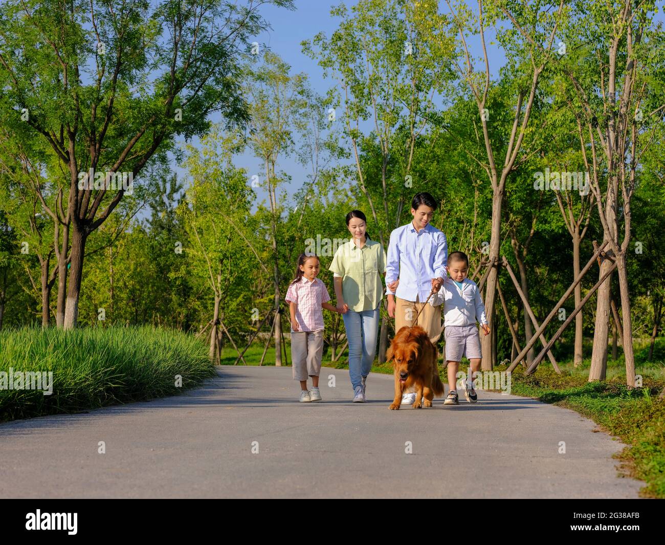 Happy family of four walking dogs in the park high quality photo Stock ...