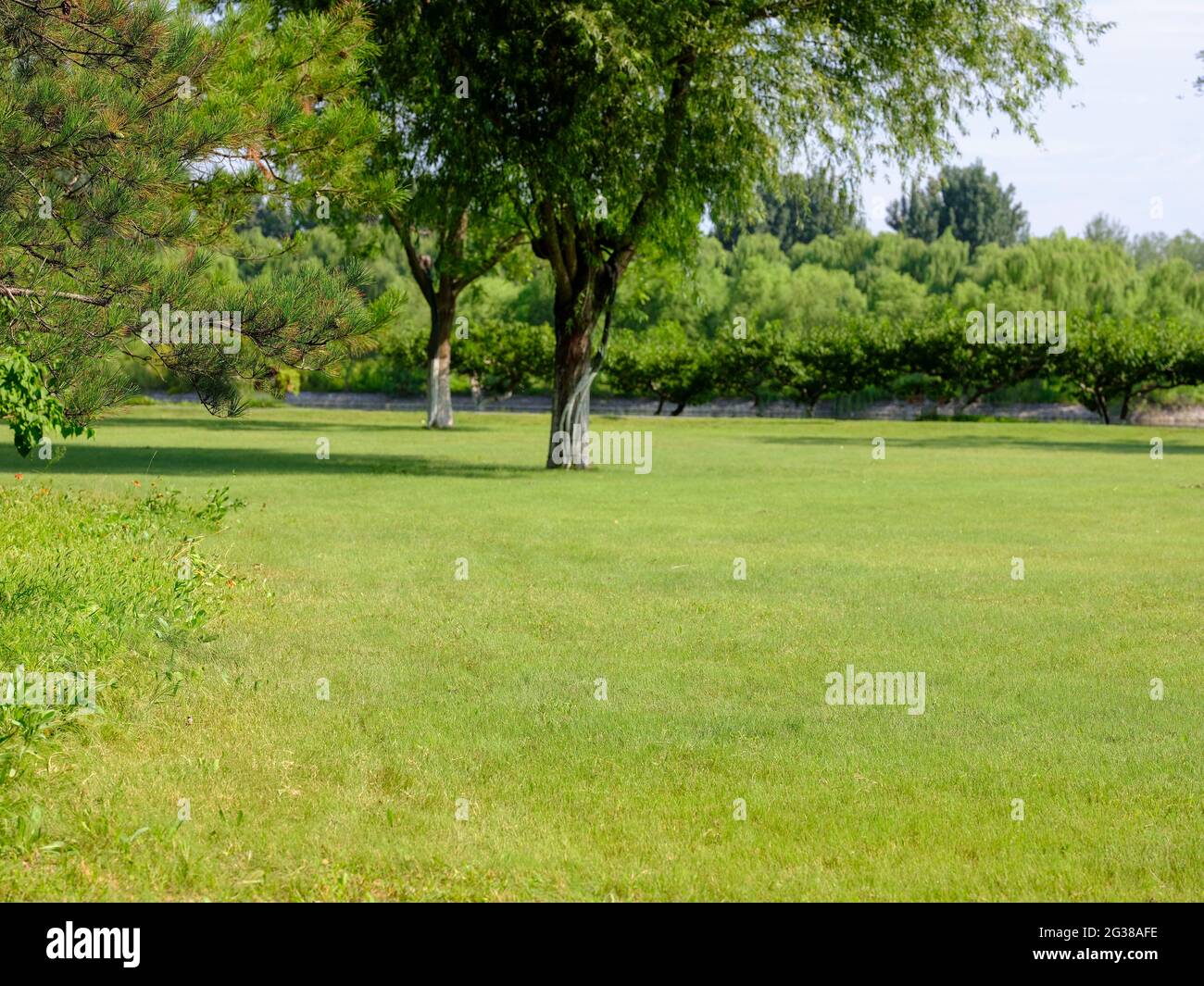 A view in the park high quality photo Stock Photo - Alamy