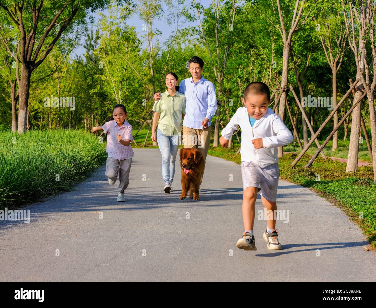 Happy family of four walking dogs in the park high quality photo Stock ...