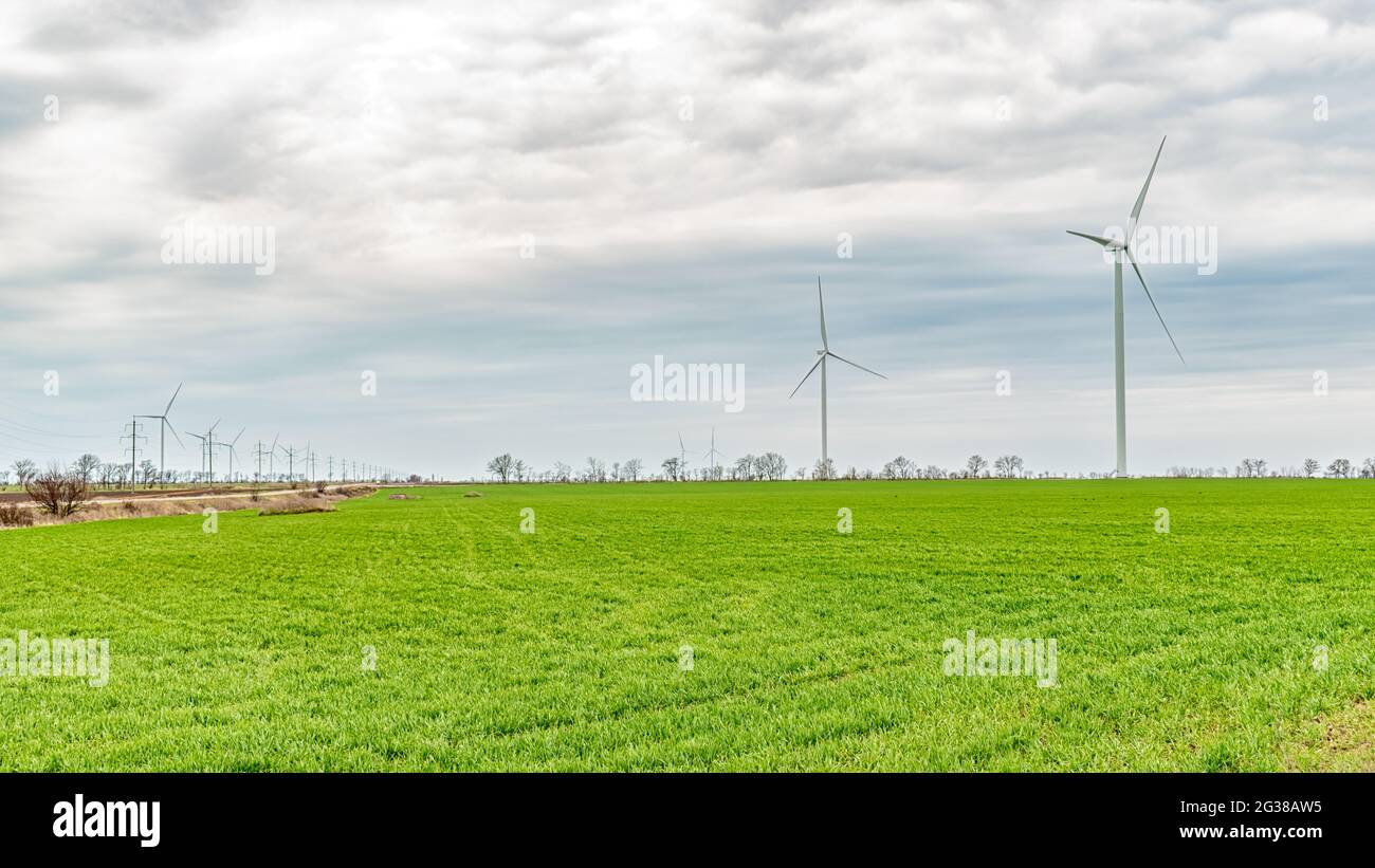 Wind turbines generating electricity in a green field. Green power ...