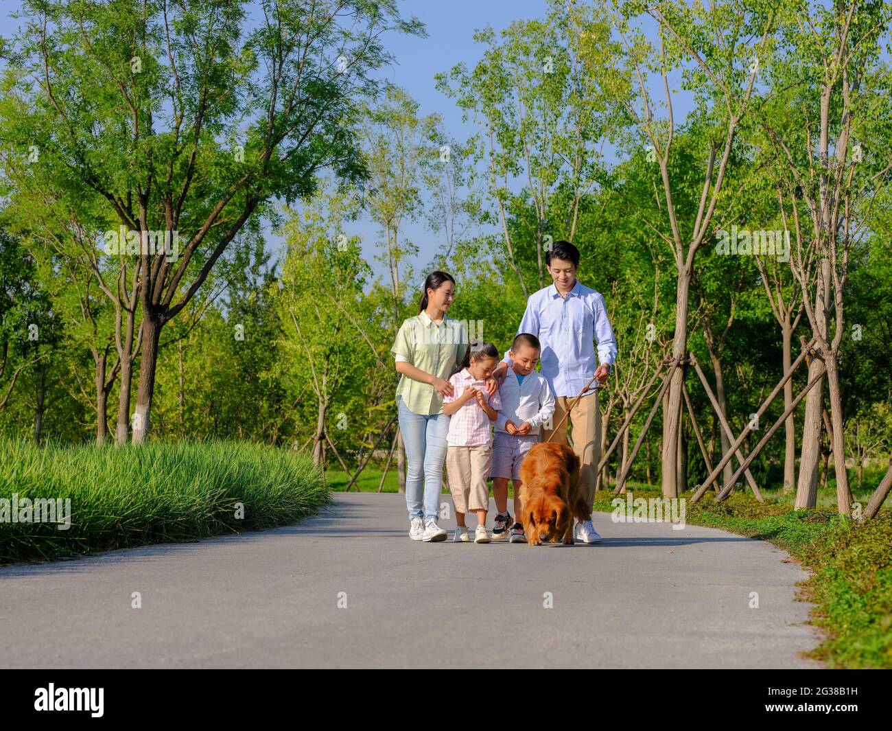 Happy family of four walking dogs in the park high quality photo Stock ...