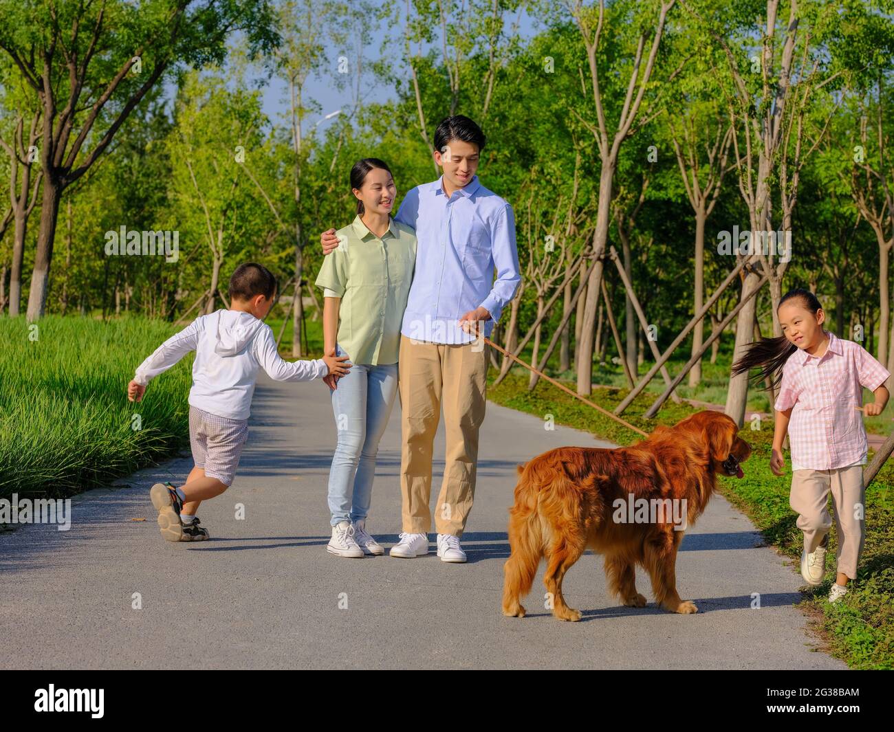 Happy family of four walking dogs in the park high quality photo Stock ...