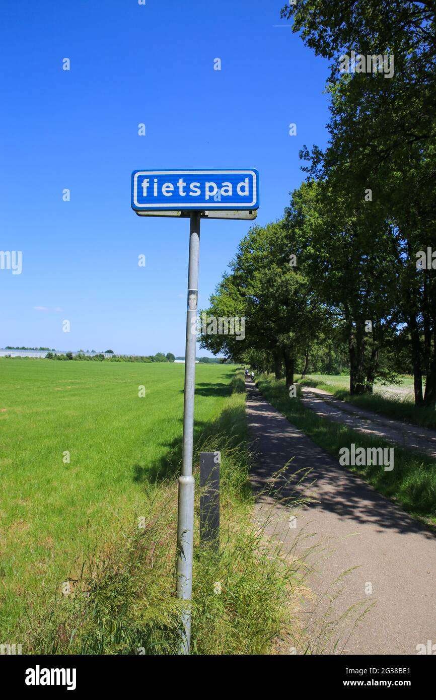 View on cycling track along trees in typical flat rural dutch landscape ...
