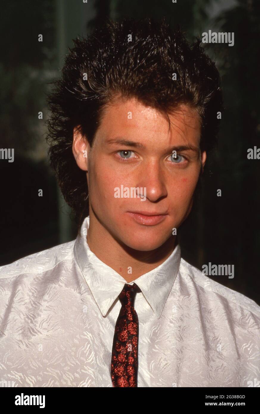 Bryan Genesse Wikipedia