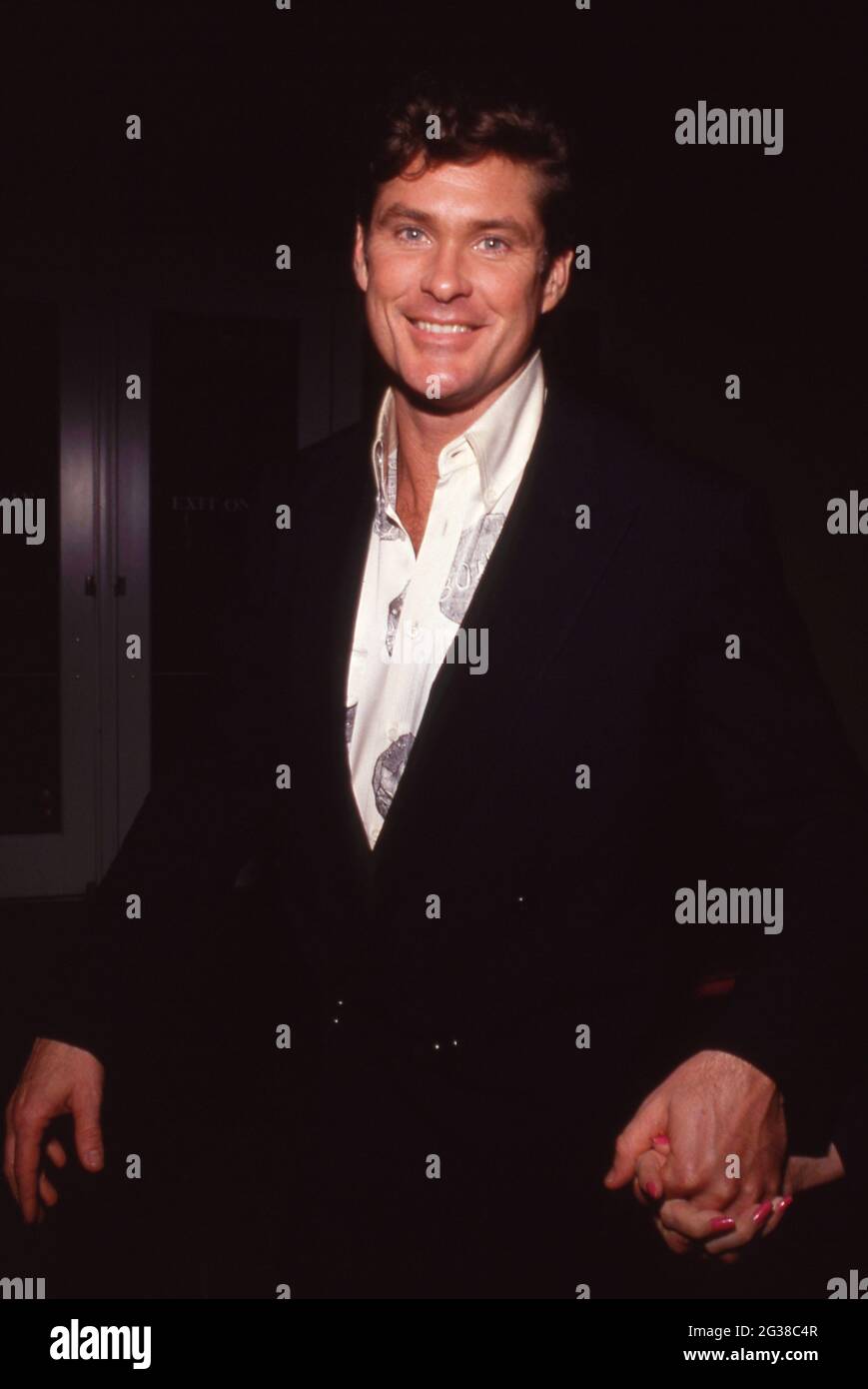 David Hasselhoff Circa 1980's Credit: Ralph Dominguez/MediaPunch Stock ...