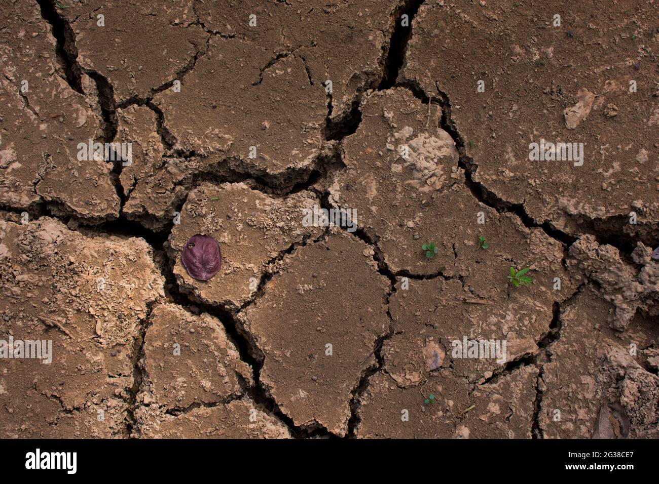 Clay ground hi-res stock photography and images - Alamy
