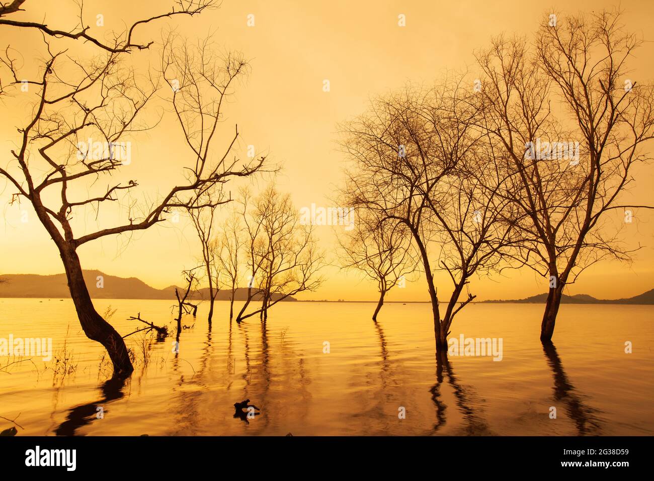 Floods and red heat, drought conditions and climate change. Flash ...