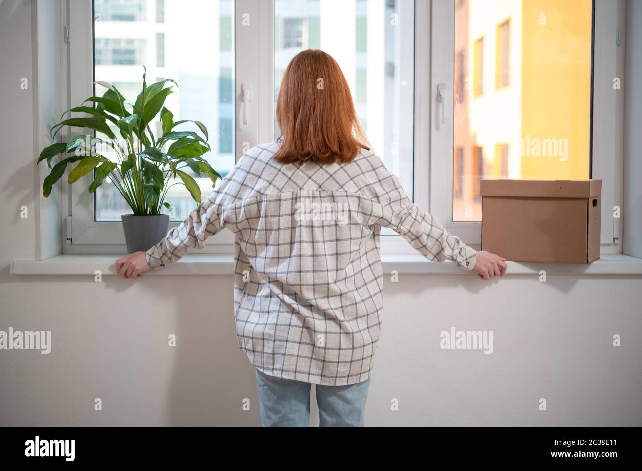 Rear view of a woman looking out the window, a flower on the windowsill ...