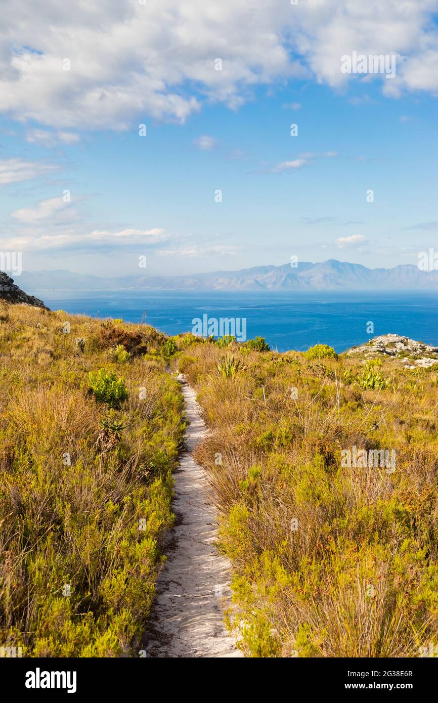 Dirt Track hiking paths on top of a mountain by the coast of Cape Town ...