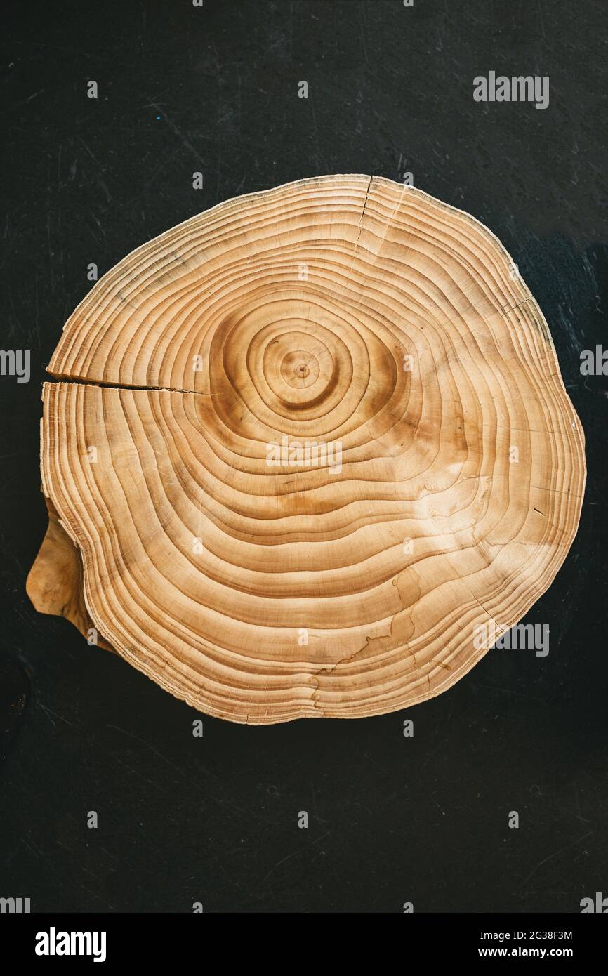 Polished cross section of tree trunk on black table, top view Stock ...