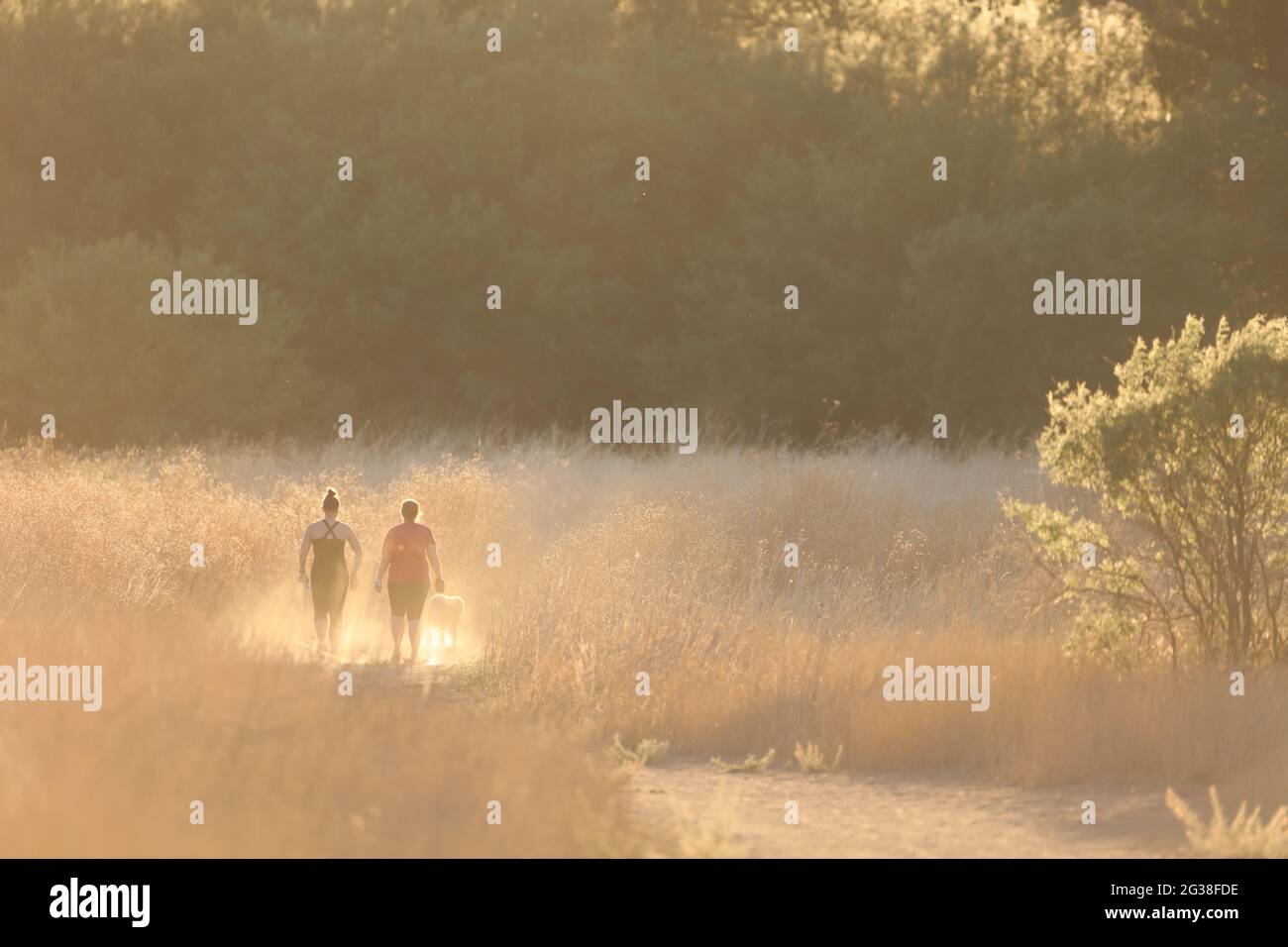 Perambulation hi-res stock photography and images - Alamy