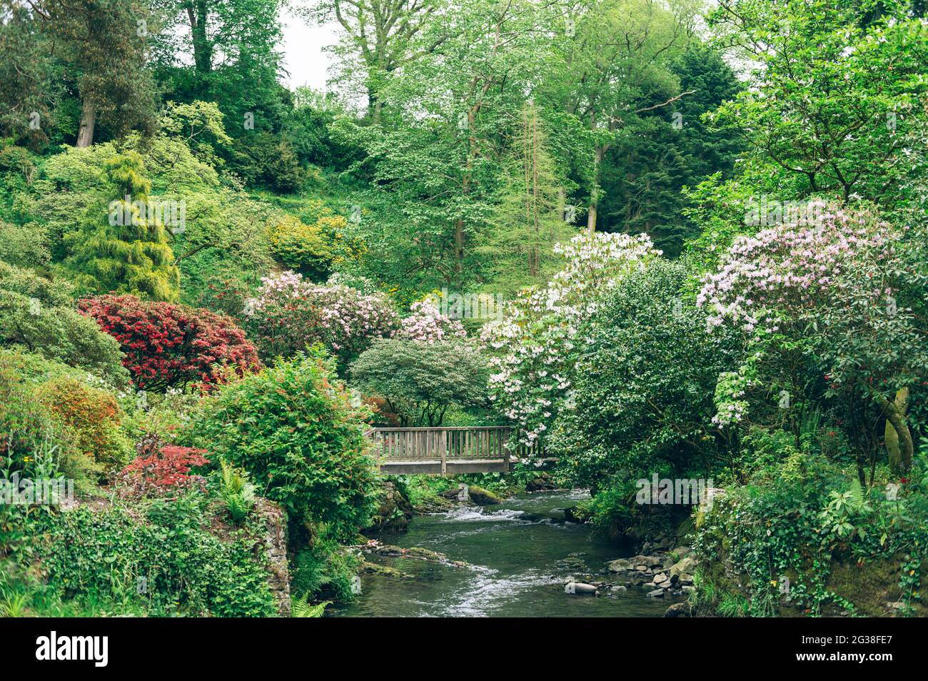 Beautiful Garden with blooming trees during spring time Stock Photo - Alamy