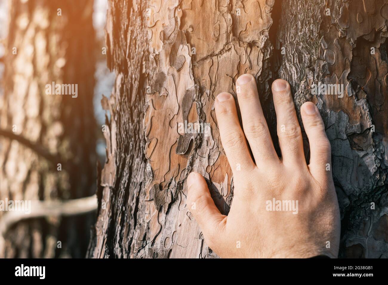 Closeup touching hi-res stock photography and images - Alamy