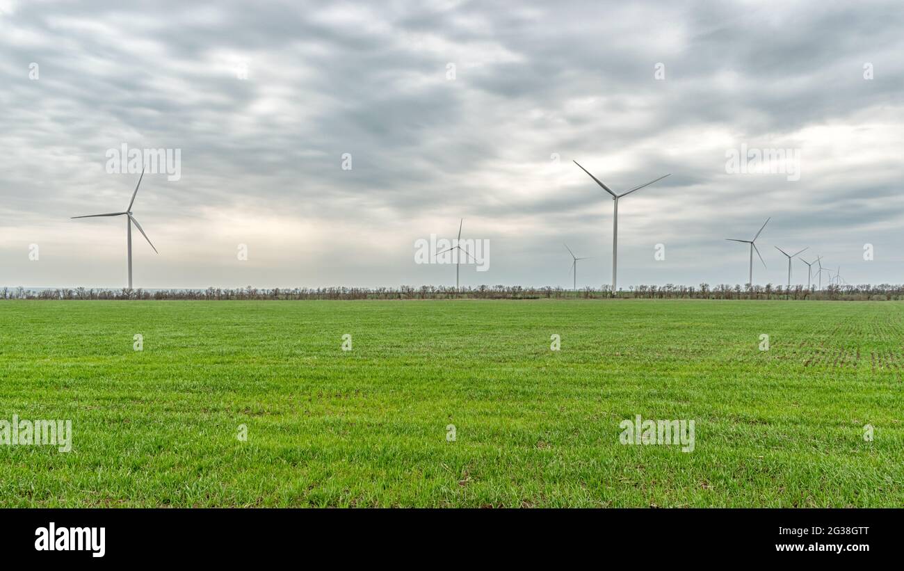 Wind turbines generating electricity in a green field. Green power ...
