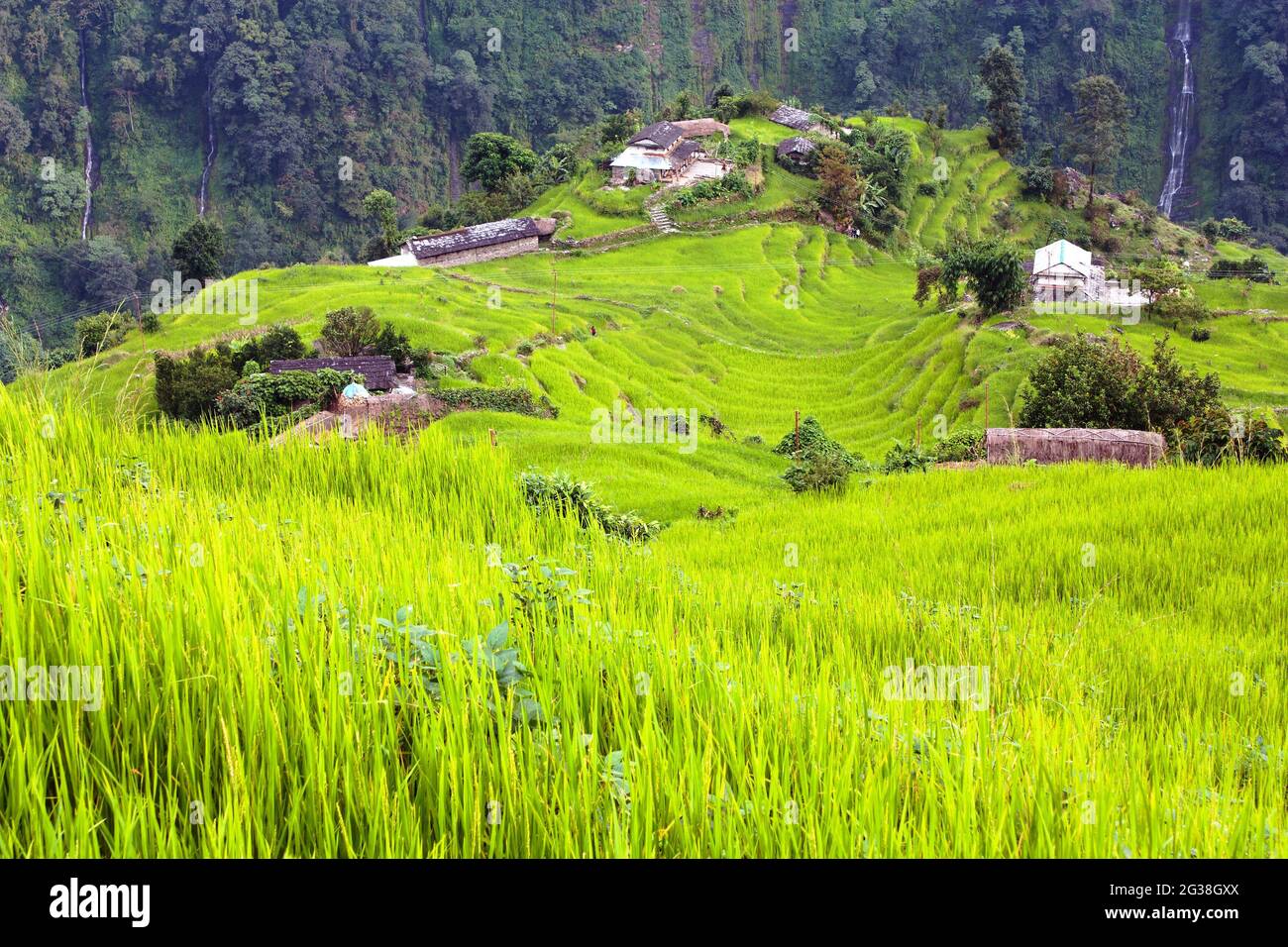 rice field and village in Annapurna nountains - Nepal Stock Photo - Alamy