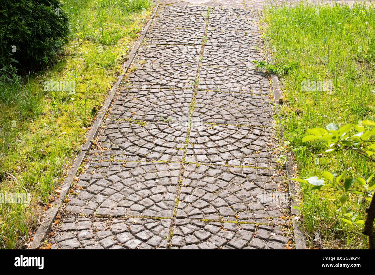 Old tiled path in the park among the grass close up Stock Photo - Alamy